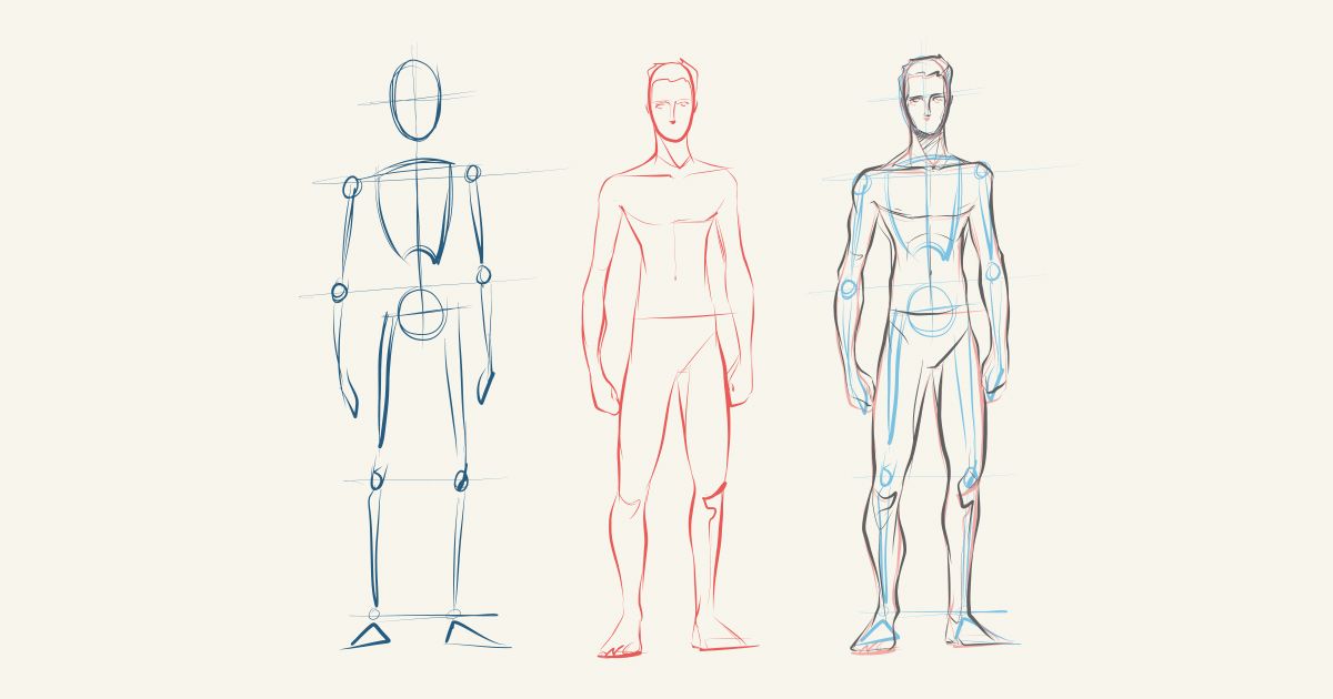 Illustration Tutorial: How to Draw the Human Body to Scale | Domestika