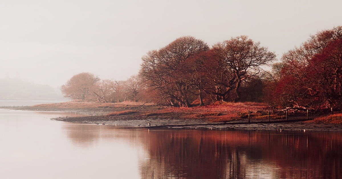 Quick Tips For Taking Incredible Photos With Your Phone | Domestika