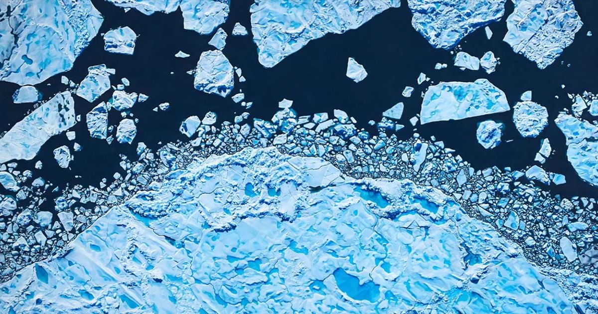 7 Powerful Examples of Climate Change Artivism | Domestika