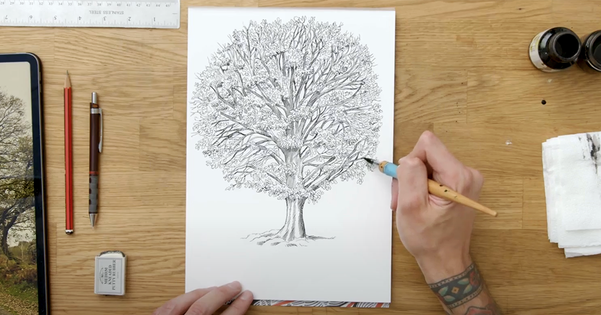 How To Draw Trees With Pen And Ink