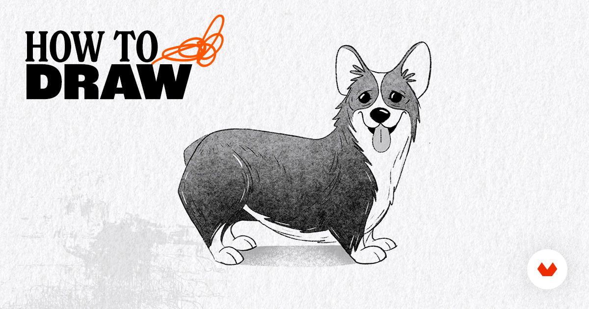 Downloadable tutorial: How to Draw a Corgi Step by Step | Domestika