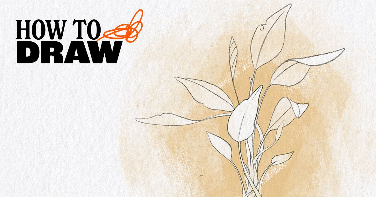 How to Draw Plants Better (+Free Download) | Domestika