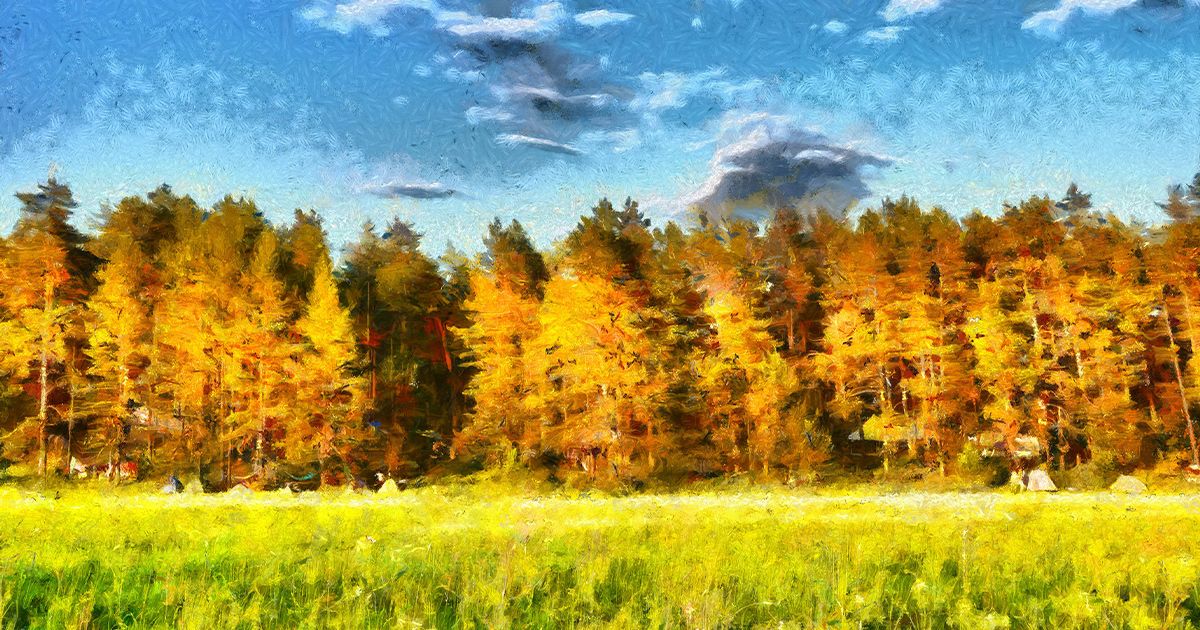 5 types of Landscapes according To Drawing Style | Domestika