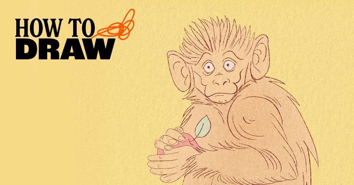 How To Draw Cartoon Monkey