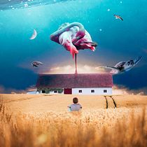 Online Course - Digital Collage in Photoshop: Composition and Visual ...