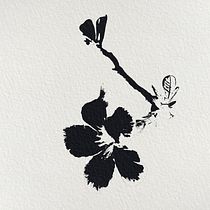 Online Course - Shodo: Introduction to Japanese Calligraphy (RIE TAKEDA) | Domestika