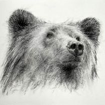 Online Course - Animal Illustration with Charcoal and Ink (Laura ...