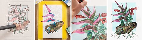 Online Course - Illustration Techniques for Contemporary Botanical Art ...