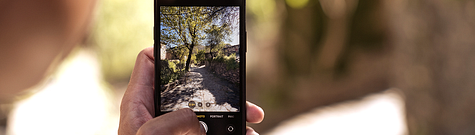 Online Course - Travel Photography with Mobile Phone for Beginners (Dan ...