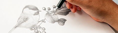 Online Course - Artistic Naturalistic Drawing with Pencil (Iván ...