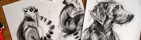 Online Course - Animal Illustration with Charcoal and Ink (Laura ...