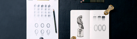 Online Course - Naturalistic Animal Drawing with Graphite Pencil (Amy ...