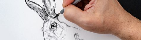 Online Course - Draw Wildlife with Pen and Ink: Illustrate Realistic ...