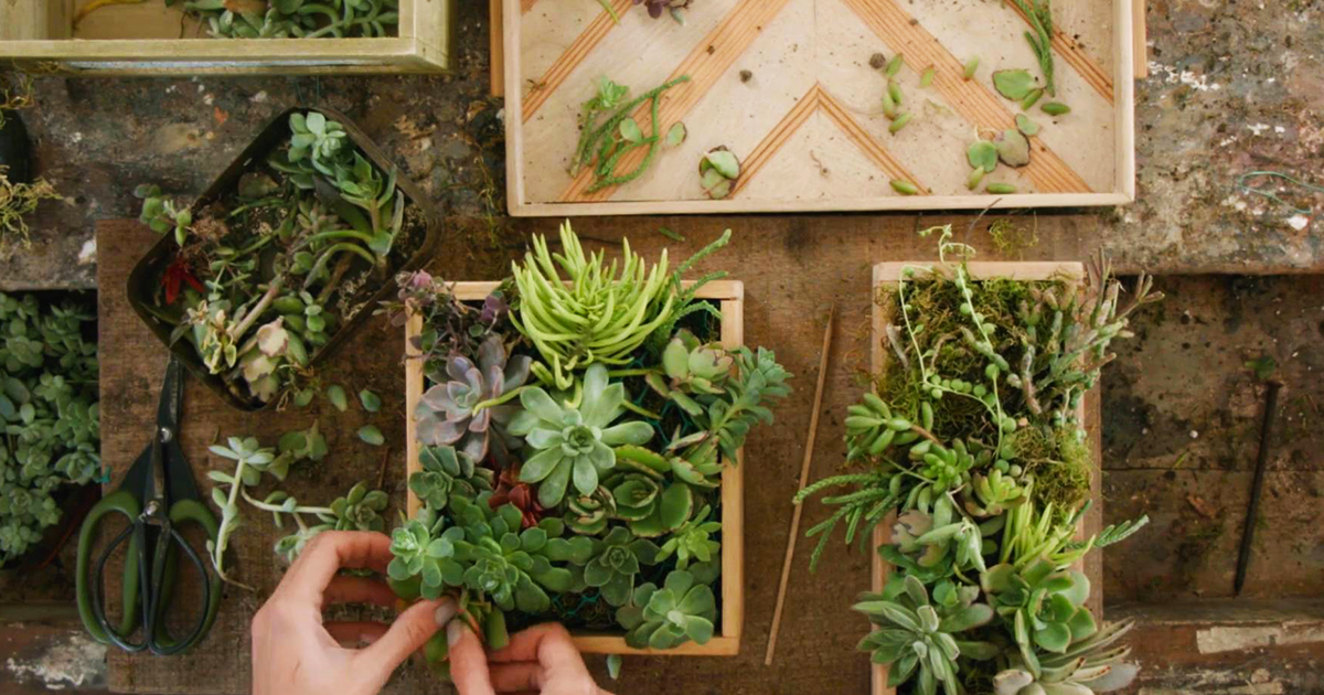 Design and Composition Ideas to Create Living Botanical Décors | Domestika