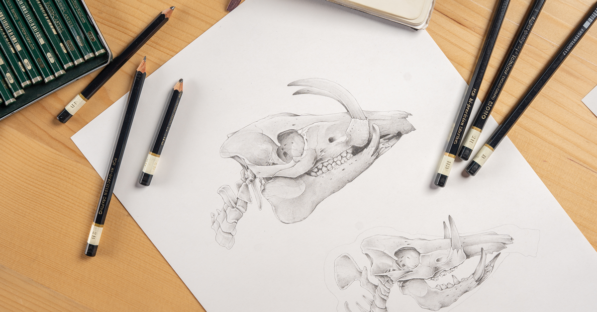 How to Preserve Pencil Drawings and Illustrations | Domestika