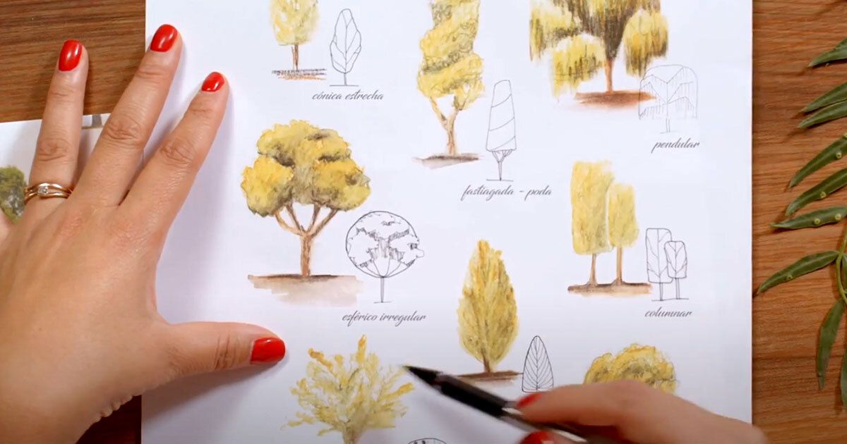 How To Draw A Tree Using Watercolor