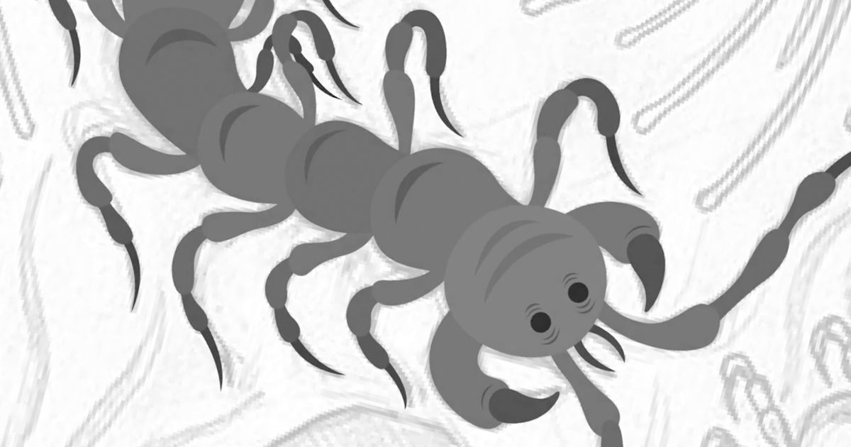 Tutorial Ilustración: cómo utilizar formas para crear dibujos ...