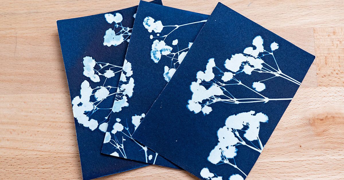 Cyanotype Tutorial: Printing with Leaves and Flowers | Domestika