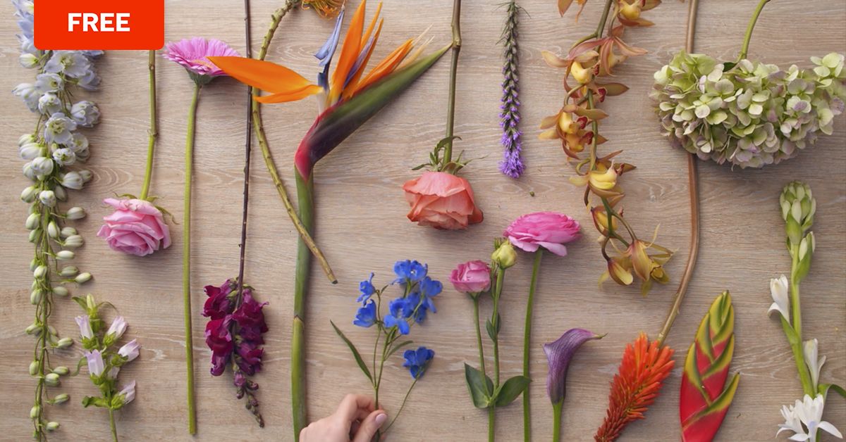 Free Download: A Color Theory Guide for Floral Compositions | Domestika