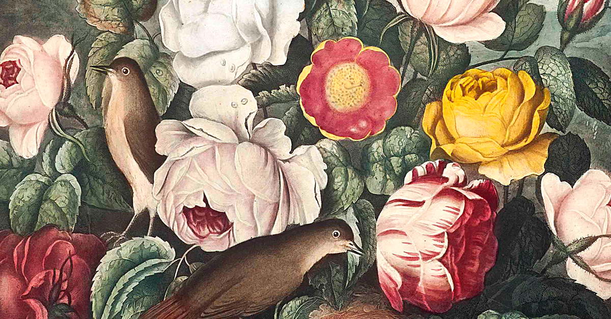 What Is Botany, and How Does It Inspire Creativity? | Domestika
