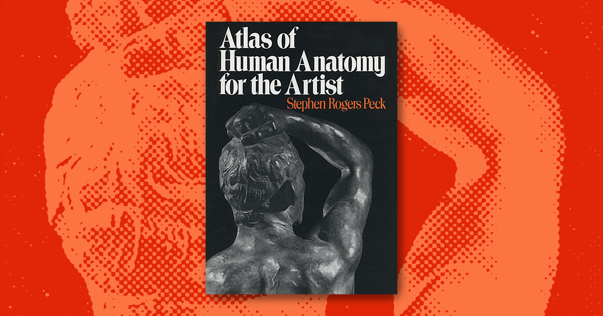 5 Anatomy Books to Improve Your Figure Drawing | Domestika
