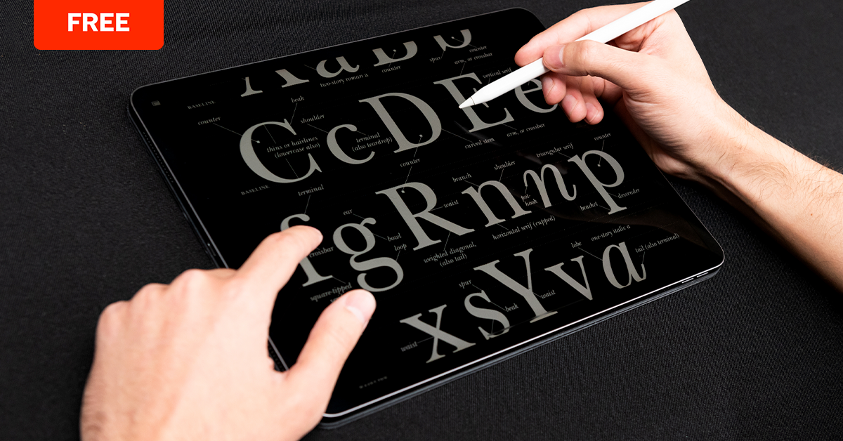 Free Alphabet Anatomy for Lettering Projects | Domestika