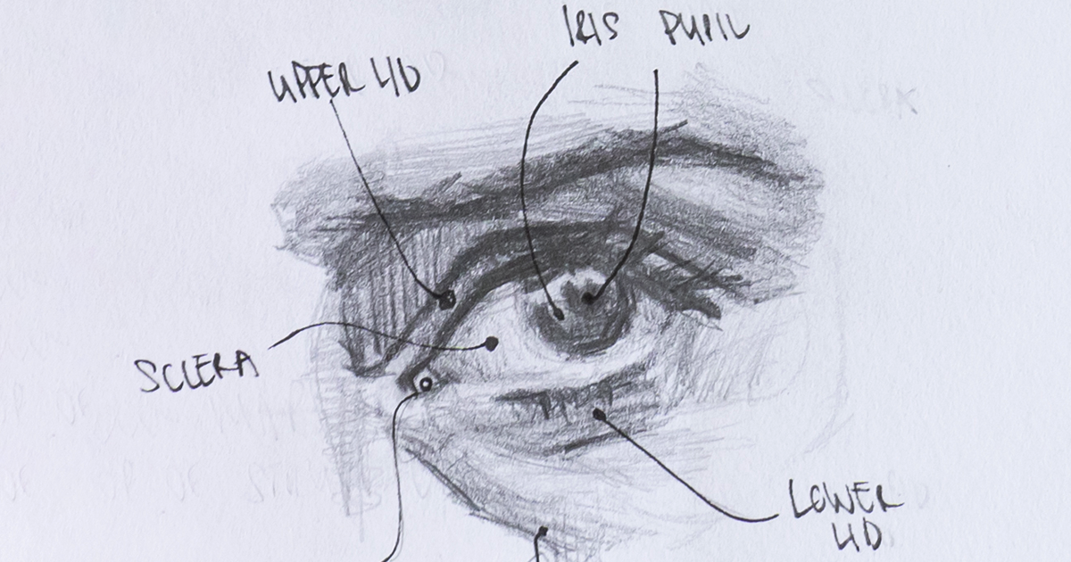 Free Pdf For Drawing Realistic Facial Expressions Domestika 