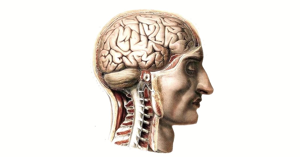 8 Inspiring Medical and Scientific Artists | Domestika