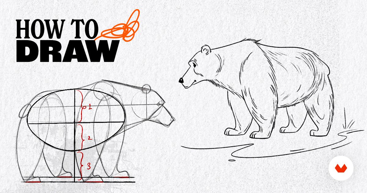 Tutorial: Cómo dibujar un oso (+ Descarga gratuita) | Domestika
