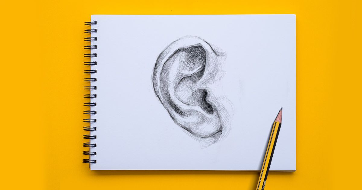 Dibujo De Oreja Realista Acuarela Realista Conejo Blanco Y Negro.