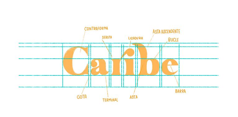 Anatomía tipográfica: las partes de las letras | Domestika