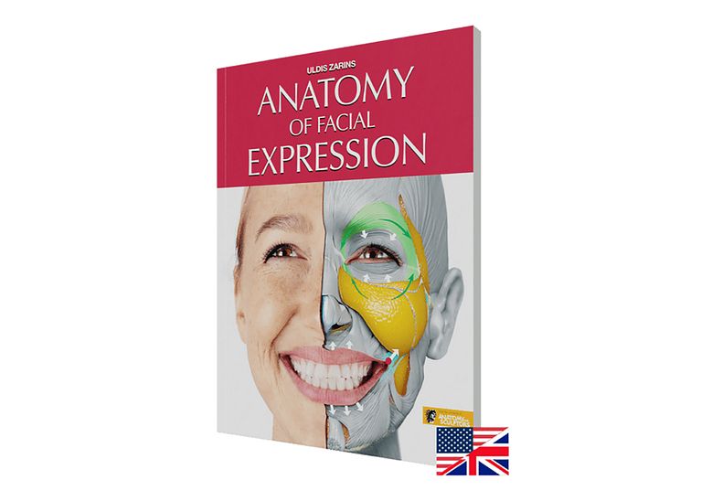 5 Anatomy Books to Improve Your Figure Drawing | Domestika