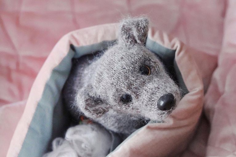 My project for course: Knitting Realistic Stuffed Animals: Make a Puppy ...