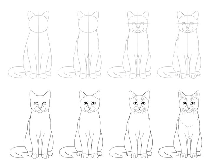 How to Draw a Realistic Cat Step-by-step | Domestika