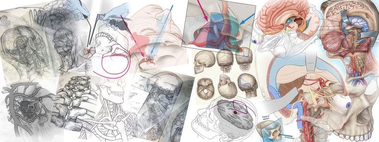 8 Inspiring Medical and Scientific Artists | Domestika