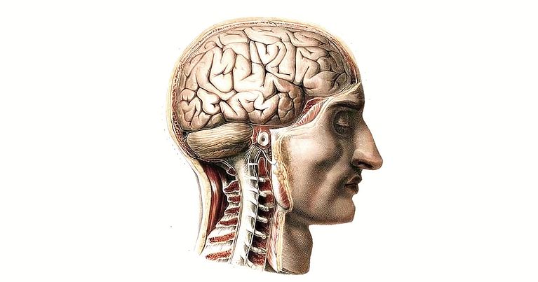 8 Inspiring Medical and Scientific Artists | Domestika