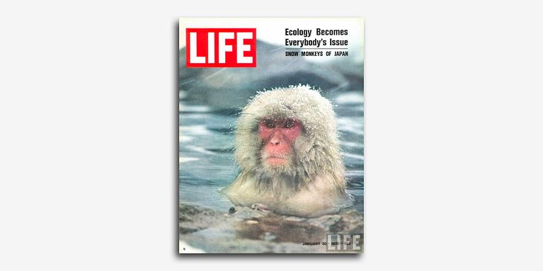10 Legendary covers of Life magazine | Domestika