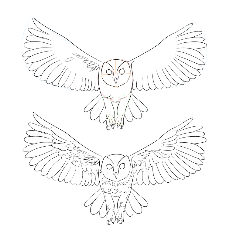 Free Tutorial: How to Draw an Owl | Domestika