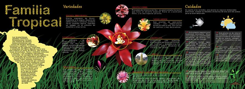 Trabajos en Indesign | Domestika