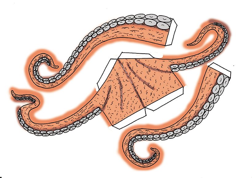 Pop-up Octopus | Domestika