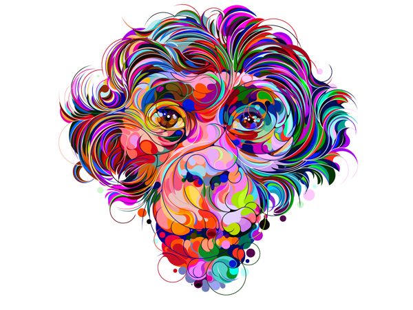 DESYNC MONKEY | Domestika