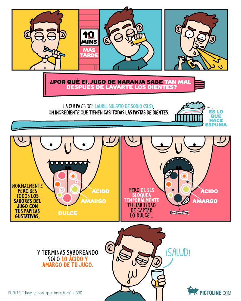 Pictoline: la revolución de la información ilustrada | Domestika