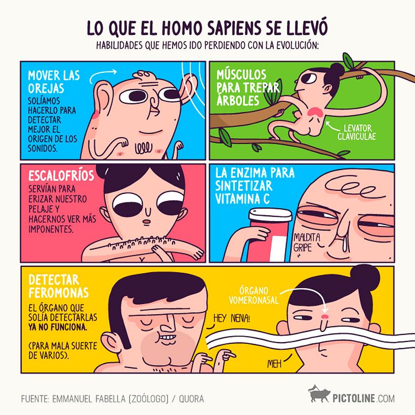 Pictoline: la revolución de la información ilustrada | Domestika