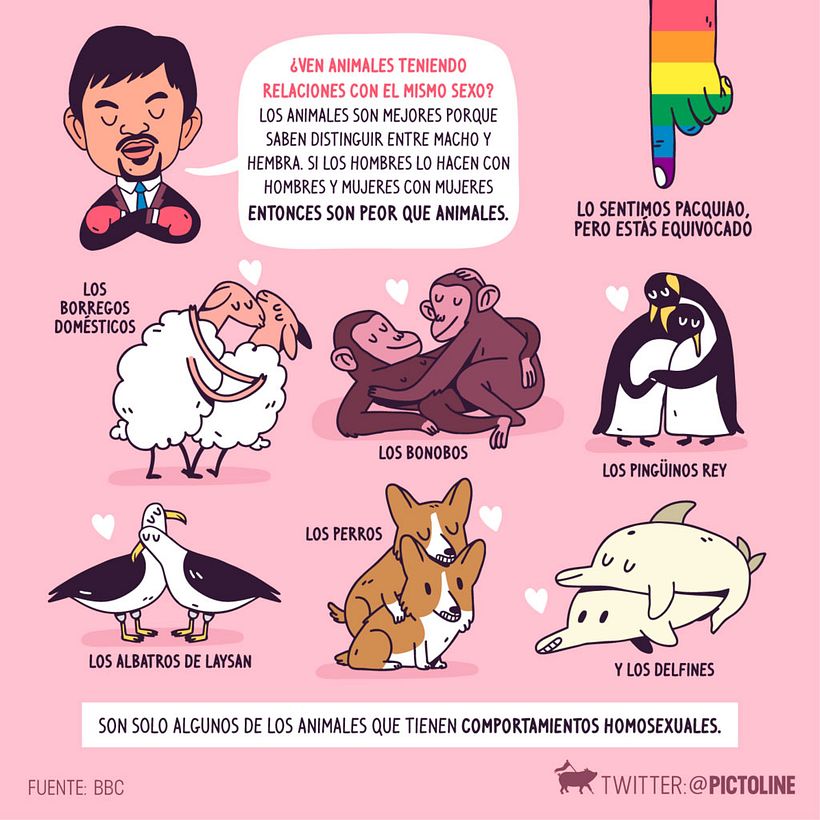 Pictoline: la revolución de la información ilustrada | Domestika