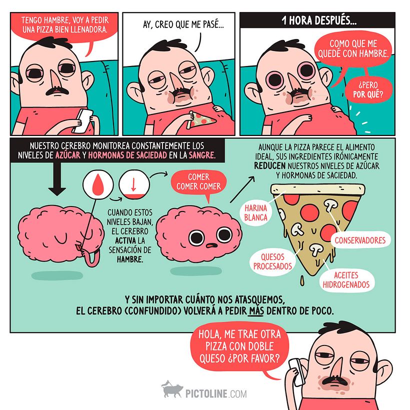 Pictoline: la revolución de la información ilustrada | Domestika