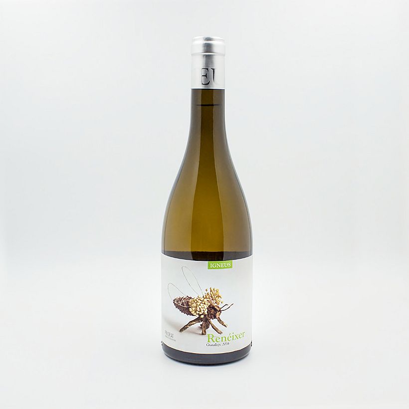 Patossa: la naturaleza muerta convertida en fauna | Domestika