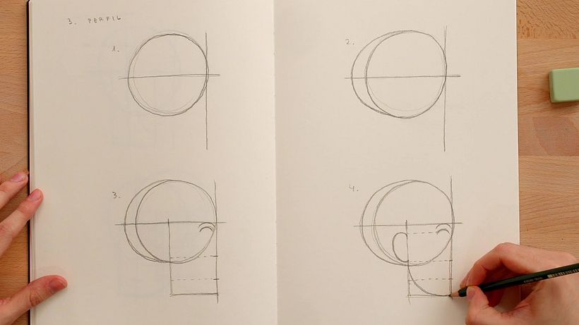 Illustration Tutorial: Basic Proportions of a Face | Domestika