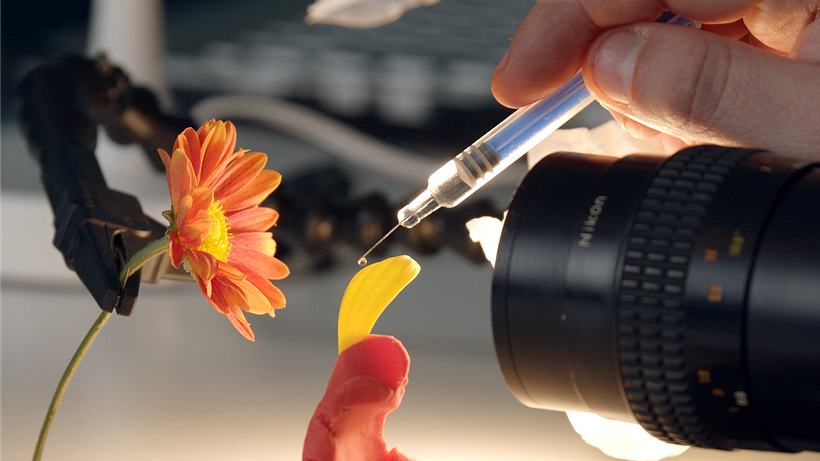 Photography Tutorial: How to Create Droplets With Glycerin | Domestika