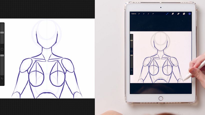 Illustration Tutorial: Basic Concepts of Female Anatomy | Domestika