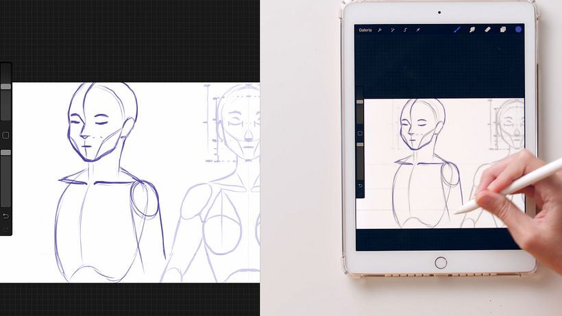 Illustration Tutorial: Basic Concepts of Female Anatomy | Domestika